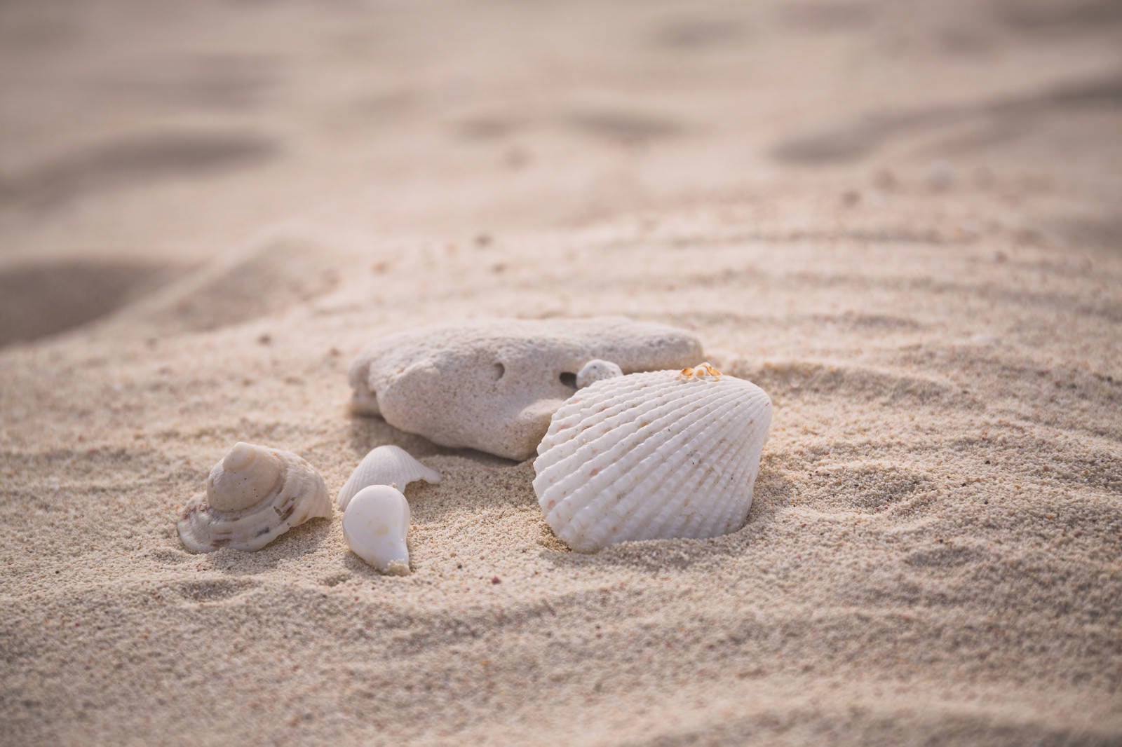 「Bourne Shell」という言葉の読み方(発音)とは？ | IT資格マニアのエンジニア技術ブログ×英語