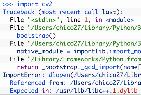 Python3のimport cv2で「Expected in: /usr/lib/libc++.1.dylib」 | IT資格マニアのエンジニア技術ブログ×英語